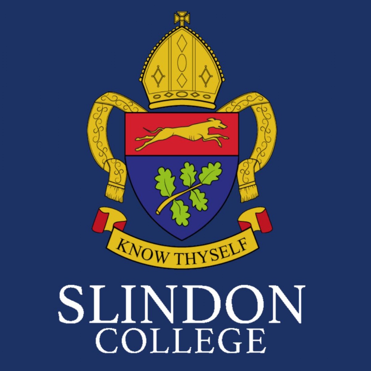 Vacancy | DT Technician | Slindon College
